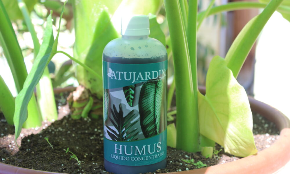 Emprendedor relanzó renovado humus líquido que promete beneficios para ...