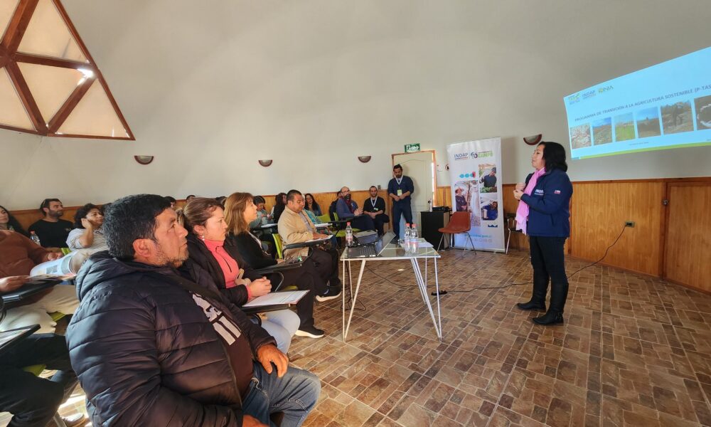 Producir más y con un bajo impacto ambiental: INDAP lanza en la región ...