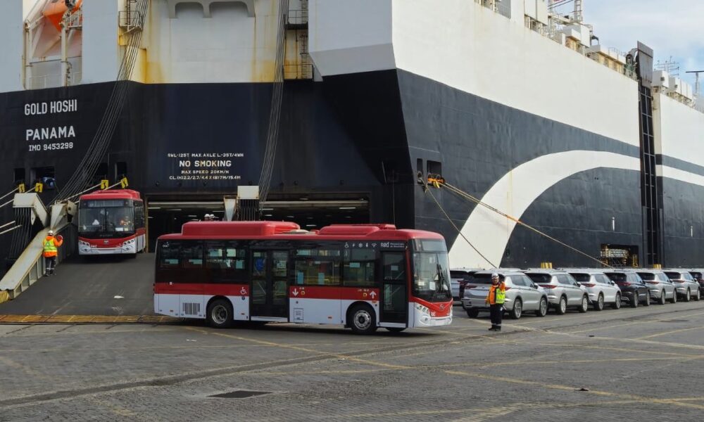 Al puerto de San Antonio arribaron los nuevos buses eléctricos para La ...